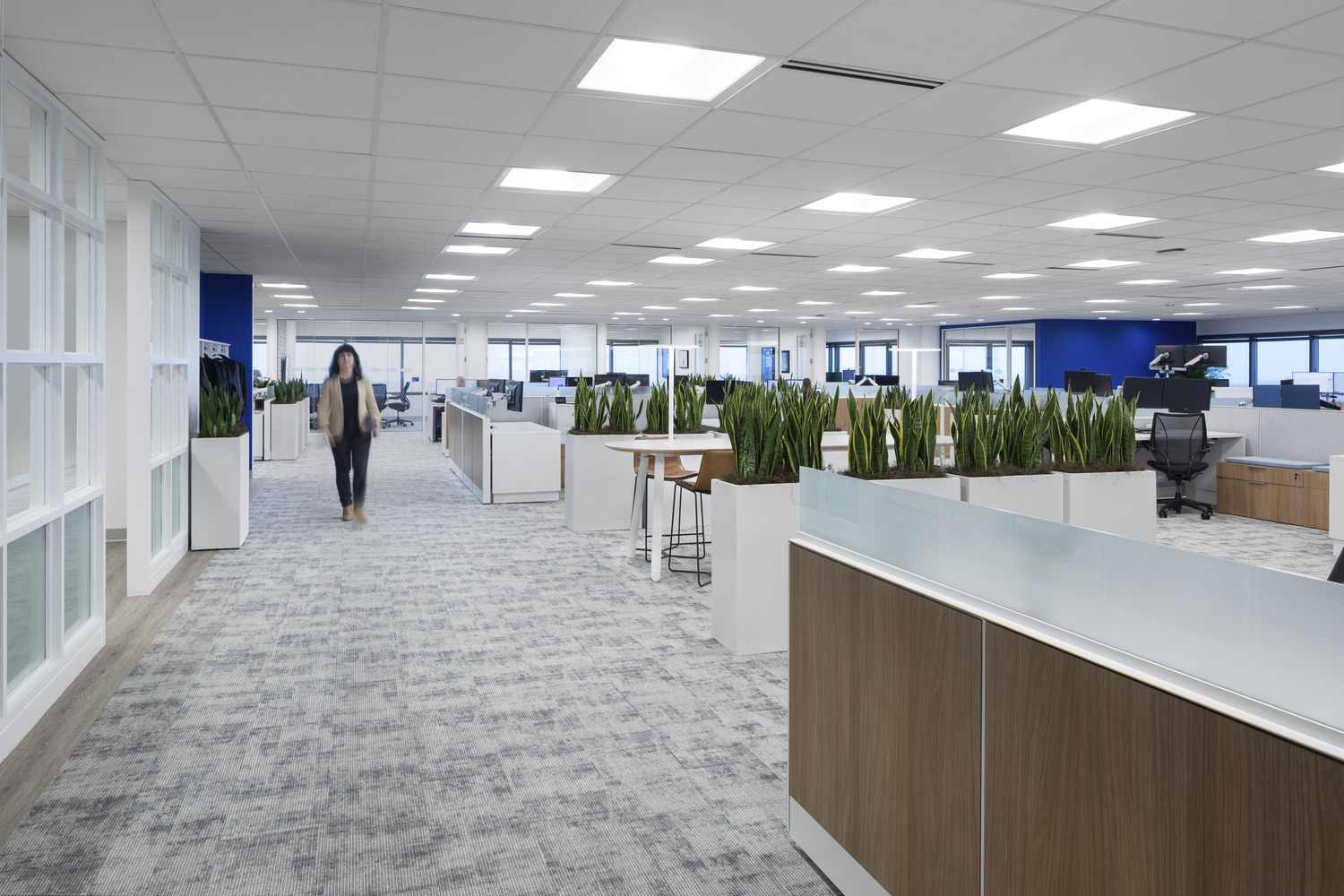 Unispace | Project | Colliers